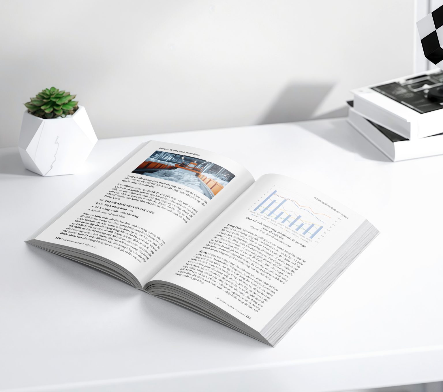 Illuminating the Path Through the “Haze of Reciprocal Tariffs” - Vinatex